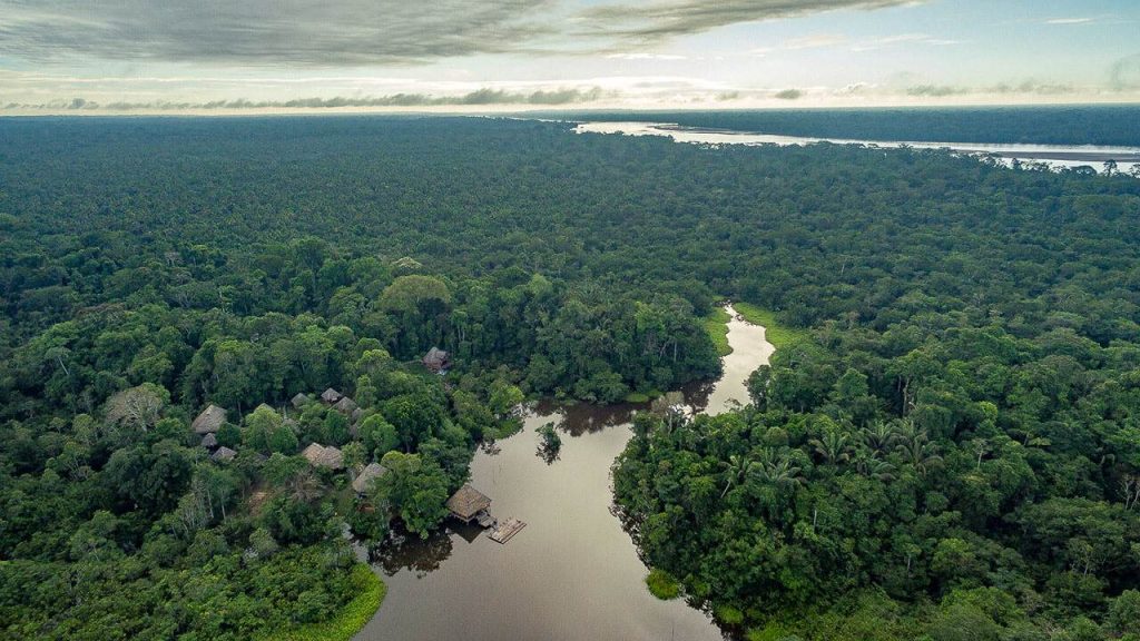 Exploring Ecuador's Yasuní National Park: a journey to the heart of the ...